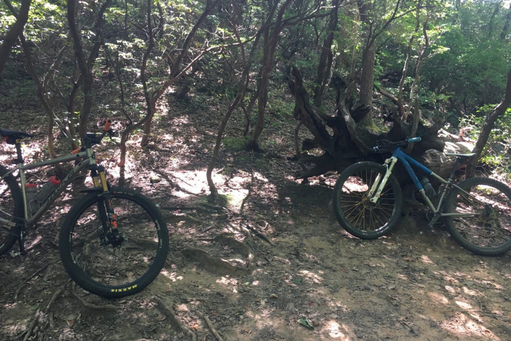 Monster Hangover...maintenance - Racing Bikes Raising Kids